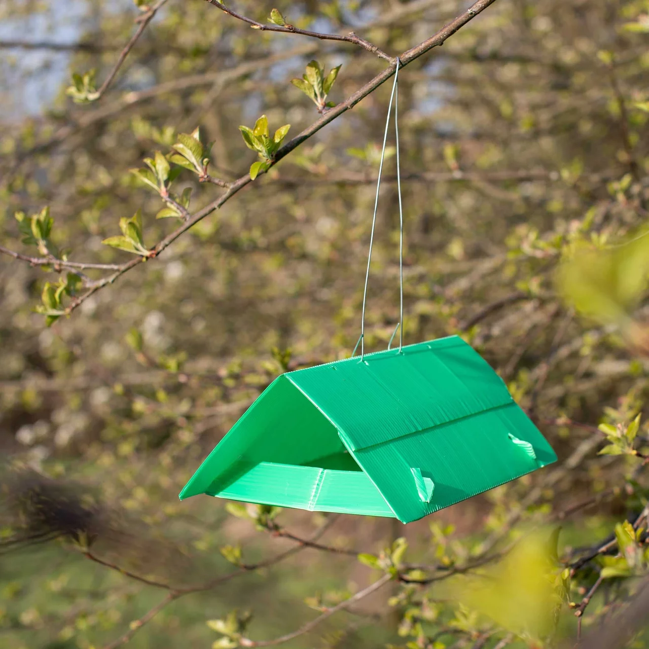 Madex® Apfelwicklerfrei gegen Apfelwickler-Larven